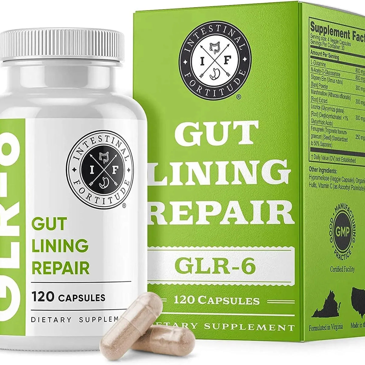 GLR-6 Gut Lining Repair Supplement for Gut Health 120 Capsulas – The ...